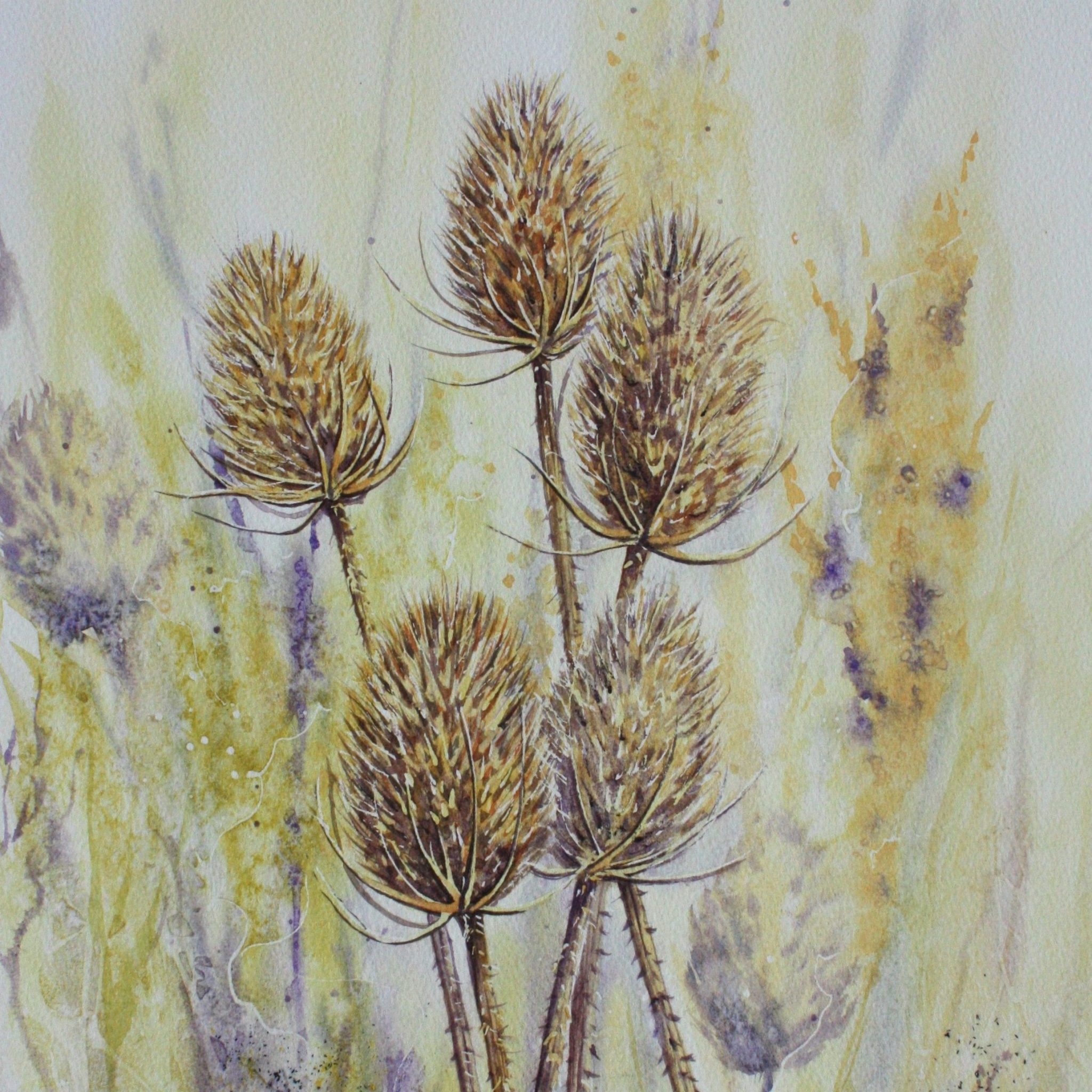 Teasels - a teasel greetings card - Ingrid Hill Art