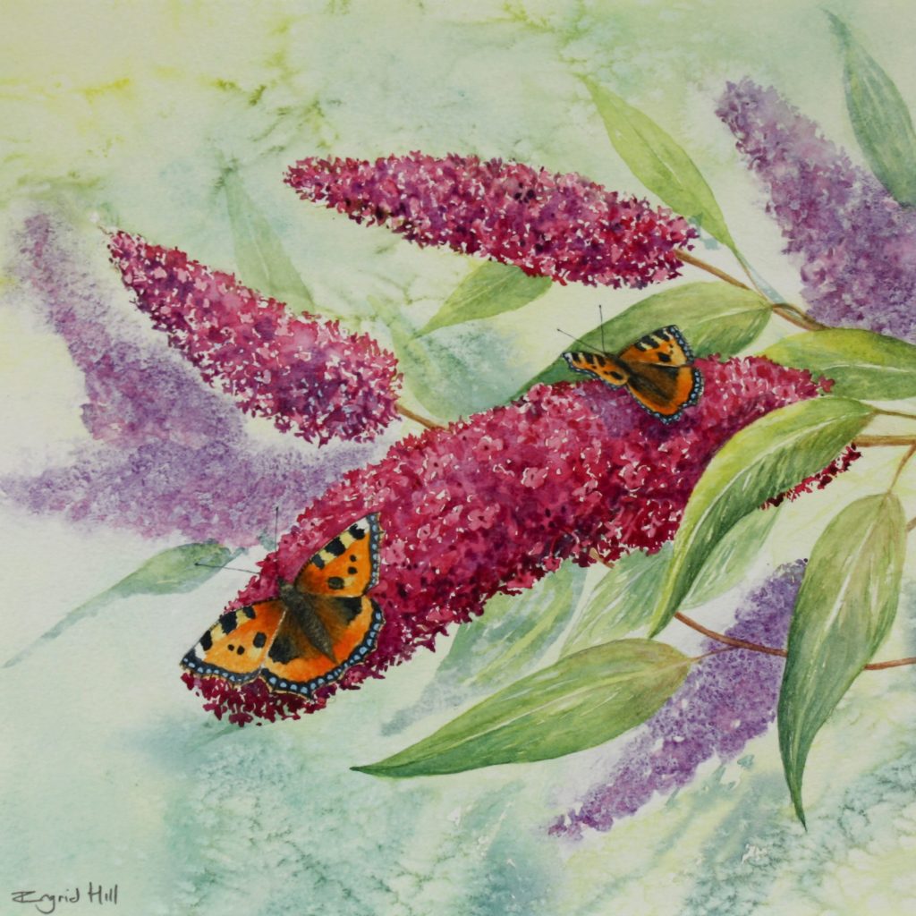 Watercolour and mixed media-artist and tutor - Home - Ingrid Hill Art