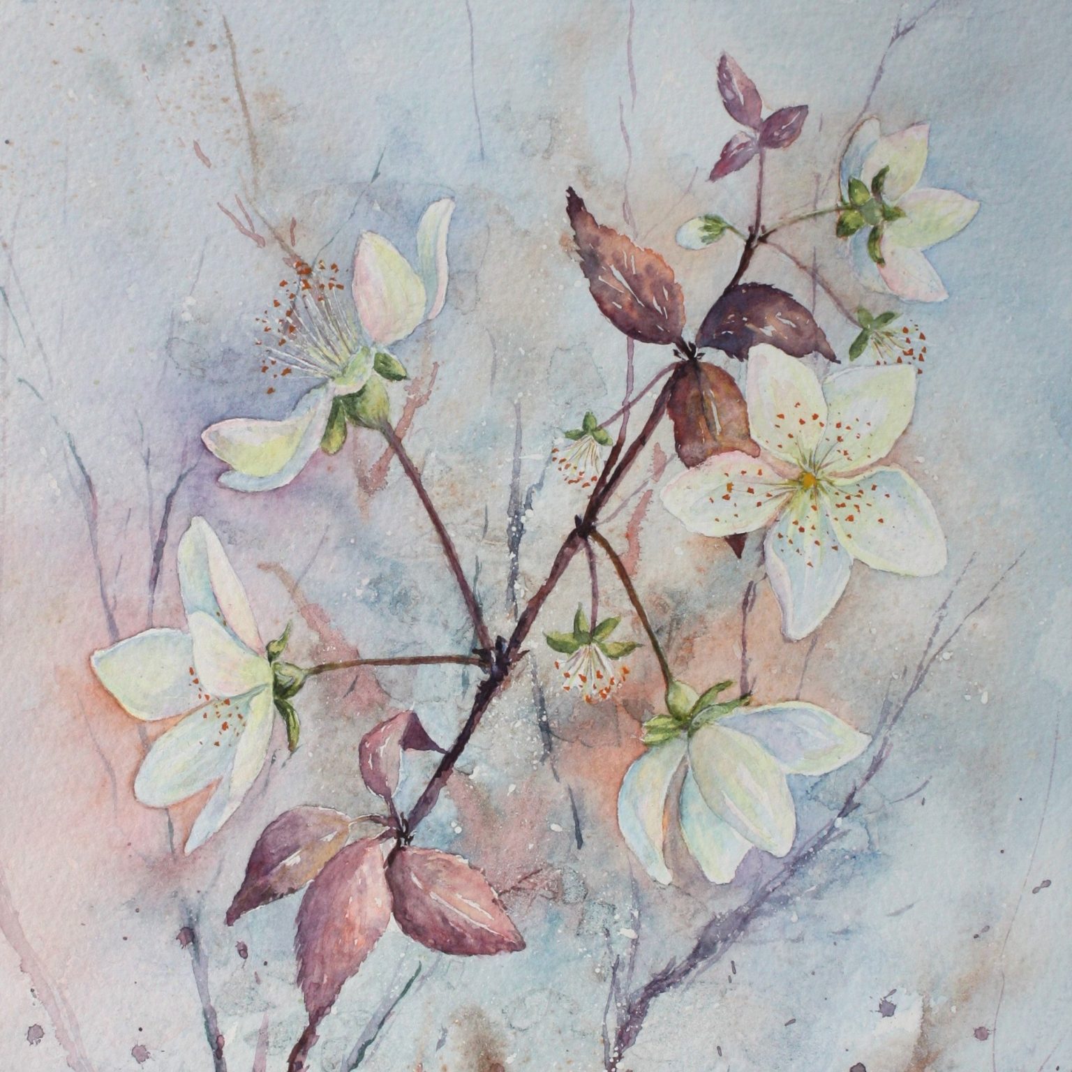 Hedgerow Blossom - a floral greetings card - Ingrid Hill Art