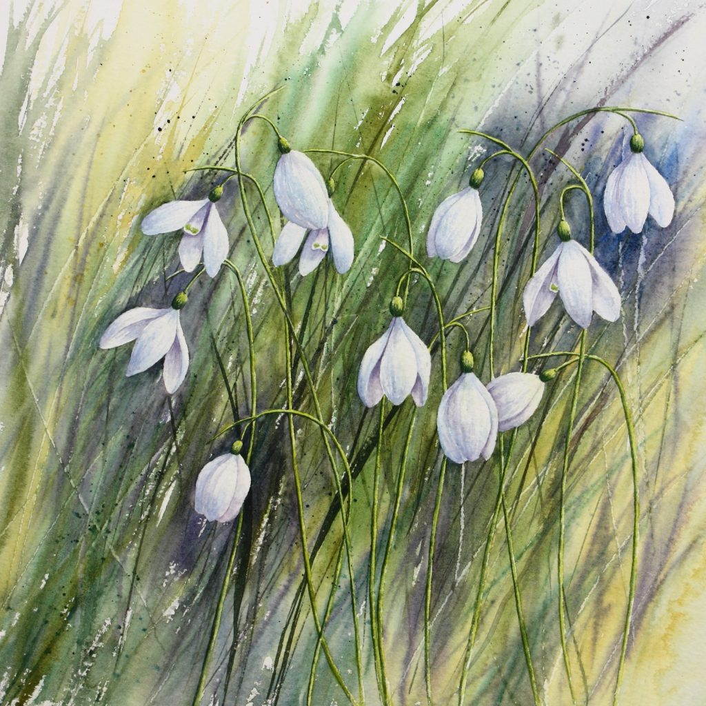 Watercolour and mixed media-artist and tutor - Home - Ingrid Hill Art